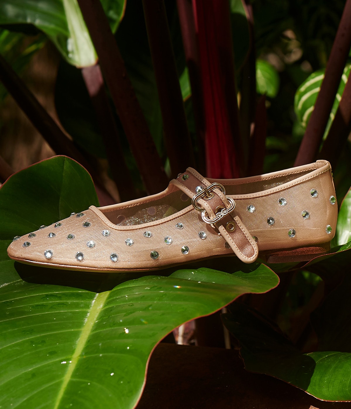 Women's Shoes, Clothing, Bags & Accessories | Sam Edelman Canada